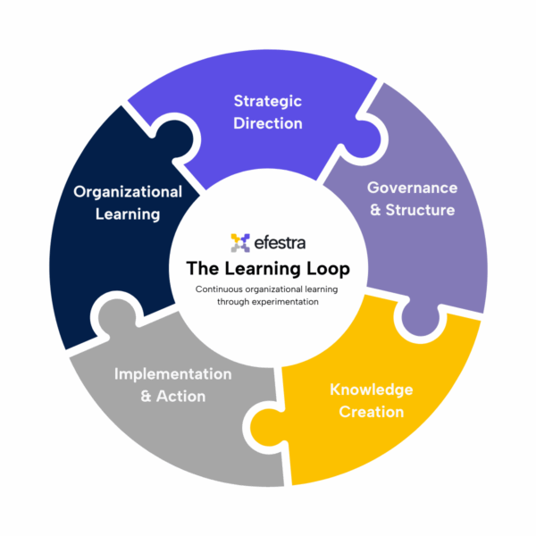 The Learning Loop Explained - Efestra